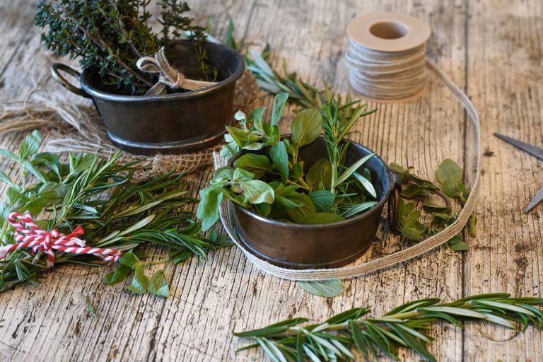 16 Powerful Medicinal Herbs You Can Grow at Home (and How to Use Them ...