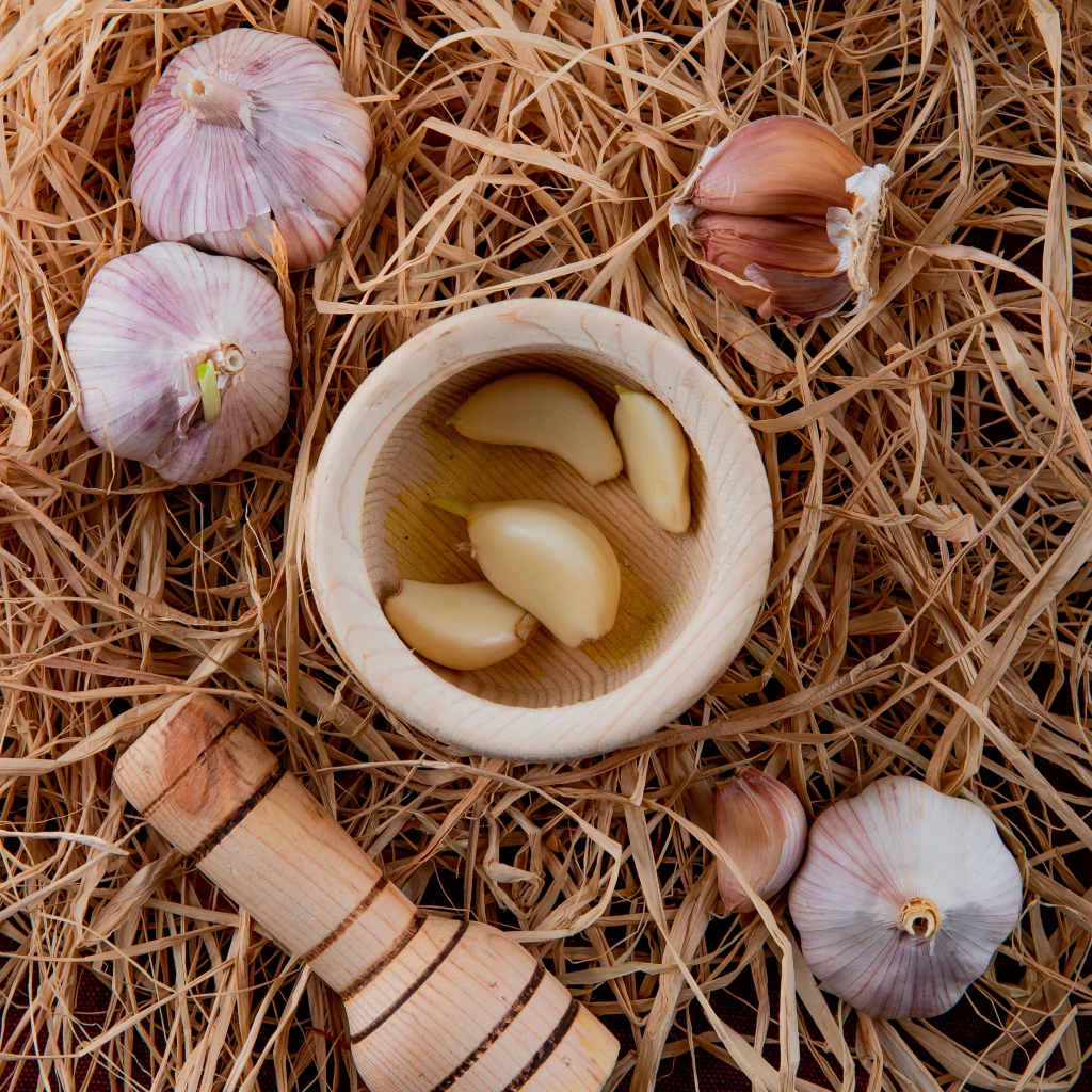 🧄 How to Grow Garlic in Pots: A Beginner’s Guide to Big Flavor in Small ...