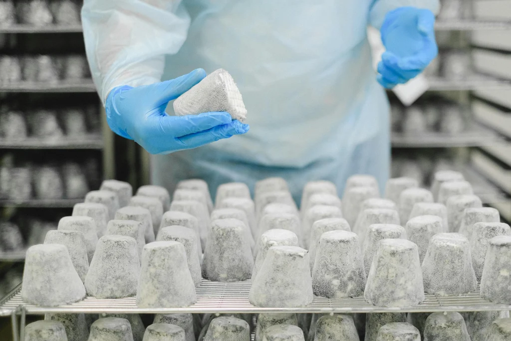 How to Make Papercrete: The Ultimate Building Material for Off-Grid ...